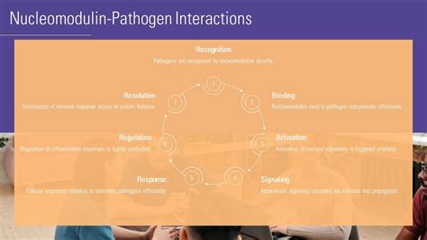 Exploring Nucleomodulins Key Role In Cellular Function Ppt Structure Acp Ppt Sample