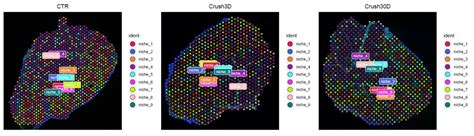 10x空间转录组数据分析之细胞niche Csdn博客