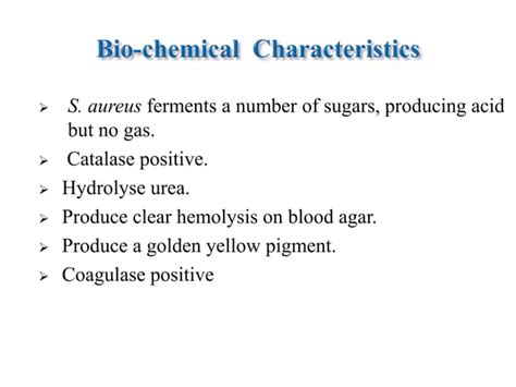 Isolation And Characterization Of Bacteriophages Against Staphylococcus