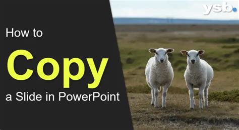 Solved How To Hide A Slide In PowerPoint Step By Step