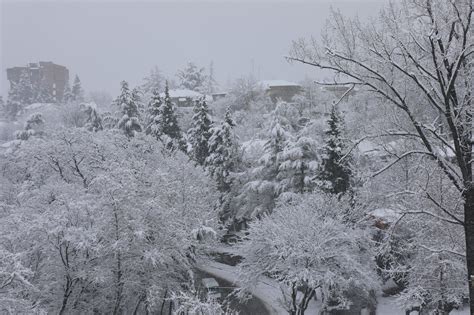 დათოვლილი გურჯაანი ფოტო რეპორტაჟი Knews Ge
