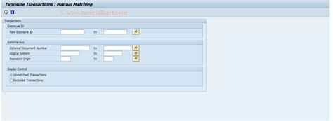 FTREX SAP Tcode Process Unmatched Transactions