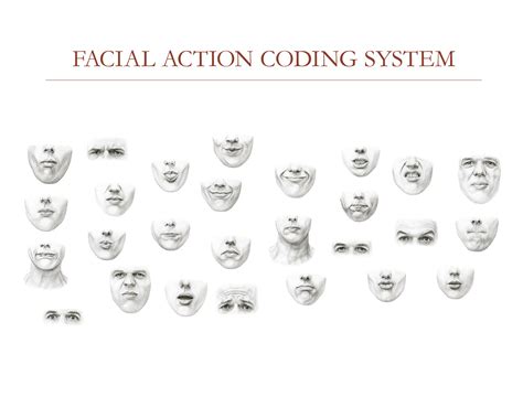 Facial Action Coding System Descriptions On Behance
