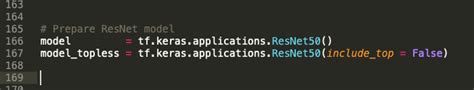 Topless Model SWF R ProgrammerHumor
