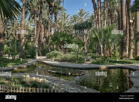 The Huerto Del Cura Garden Was Declared A National Artistic Garden In