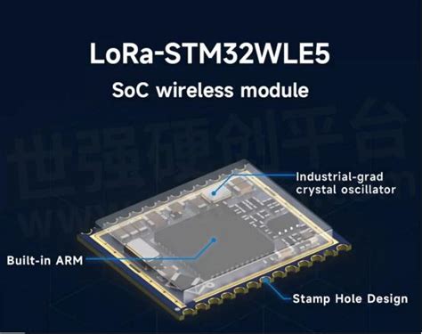 Lora Stm32wle5 Module With Open Area Transmission