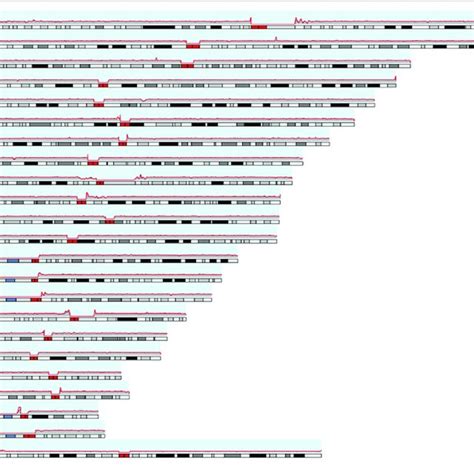 The Map For Chromosomal Coverage Through Reads Alignment With