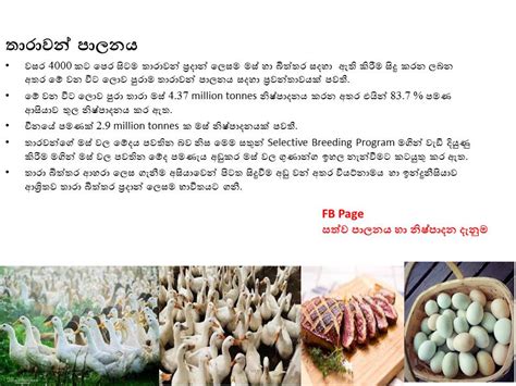 තාරා පාලනයට අත්වැලක් ️ ️ ️ සත්ව පාලනය හා නිෂ්පාදන දැනුම