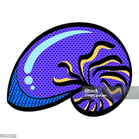 노틸러스 하프 톤 아이콘 손으로 그린 색상 벡터 일러스트 레이 션 가리비에 대한 스톡 벡터 아트 및 기타 이미지 가리비 굴 낙서 드로잉 Istock