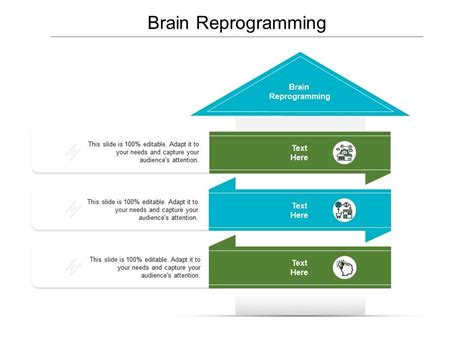 Brain Reprogramming Ppt Powerpoint Presentation Layouts Background