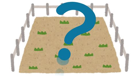 この土地は農地？（農地法における現況主義） 取扱業務 さんご行政書士事務所