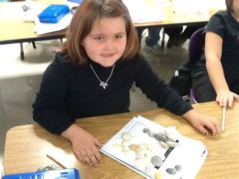 Seashell Classification Sea Shells Cross Necklace