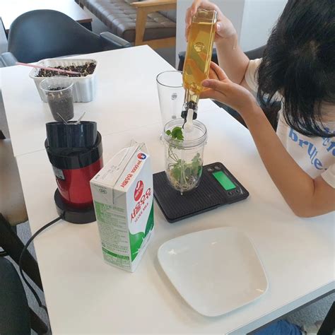 새싹삼이 뭔지 아시는분~ 제주특별자치도 서귀포시 표선면 국내여행 당근 비즈 소식