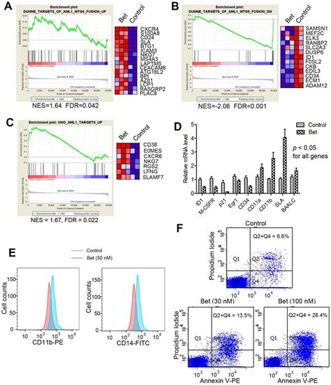 Treatment Of Kasumi 1 Cells With Bet 50 Nm Affected Download