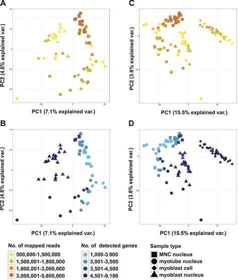 Single Nuclei From Three Different Cell Types Show Distinct Clustering Download Scientific