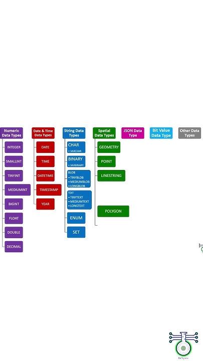 Exploring Mysql Datatypes A Classification Guide Database Shorts Youtubeshorts Youtube
