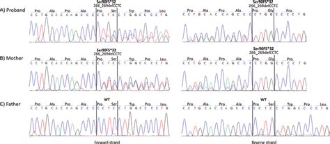 Frameshift Deletion Ser90fs 32 Identified In Exon 4 Of The Tp53 Gene Download Scientific