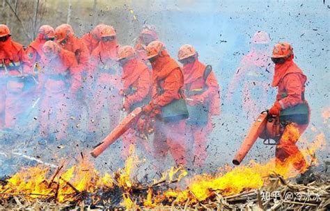 突发！黑龙江一平房发生火灾致7人遇难 知乎