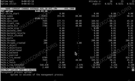 How To Install Varnish Cache Server With Nginx On Ubuntu 18 04 Bionic