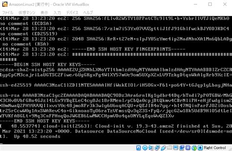 virtualboxにamazon linux 2をインストールする方法（環境構築方法） postgresweb ポスグレウェブ