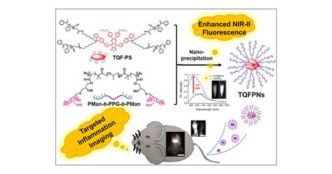 Bright Nir Ii Fluorescent Small Molecule Nanoparticles With Reduced Intermolecular Interaction