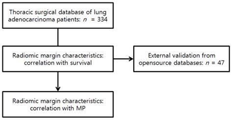 Flow Chart Of Patients Including External Validation Download Scientific Diagram