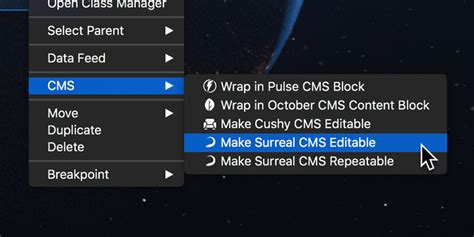 surreal cms blocs user documents