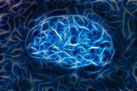 Do Brain Training Apps Really Work Heres How Neuroplasticity Enables The Brain To Adapt And