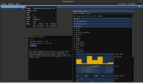 Client And Server On Linux Issue Sammyfreg Netimgui Github