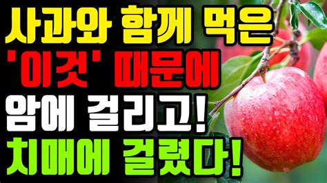 사과와 절대로 함께 먹지마세요 암과 치매에 걸릴 수 있습니다 사과와 먹으면 최악의 궁합인 3가지와 내 몸이 새롭게 태어나는 최고의 레시피 3가지 사과 효능 건강