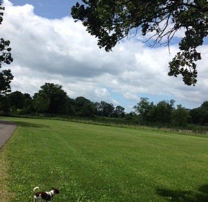 Are Dogs Allowed In Madison Parks
