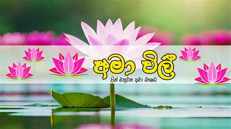 අමා විල් Ama Vil