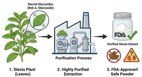 Stevia Powder Benefits Risks And Safe Use For People With Diabetes
