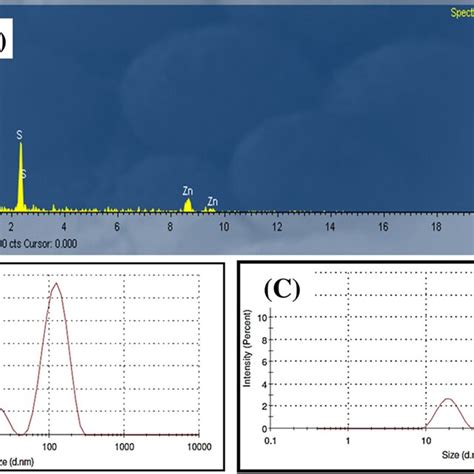 A Uvvisible Absorption Spectrum Of Synthesized Zno Nps Using Camellia