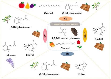 Foods Free Full Text Effects Of Different Fermentation Methods On Flavor Quality Of Liupao