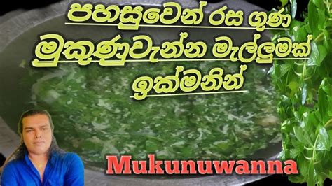 වැඩි වැඩ නැ රස ගුණ මුකුණුවැන්න මැල්ලුම Mukunuwanna Malluma