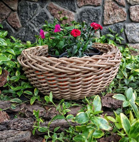 Плетений Кошик З Ротангу Ручної Робити 6 Л — Купить Недорого на Bigl Ua 1425146223