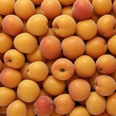 Download Ai Generated Apricot Fruit Royalty Free Stock Illustration Image Pixabay