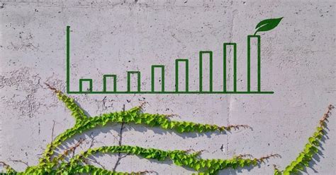 Cfos Navigate Esg Reporting Challenges David Hoffman Mhs