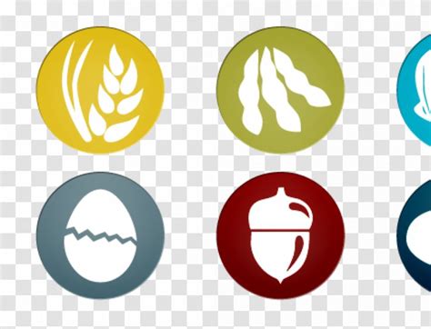 Food Allergy Allergen Intolerance Tree Nut Transparent PNG