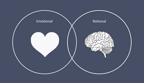 Emotional Rational Venn Diagram Wealtharchitects