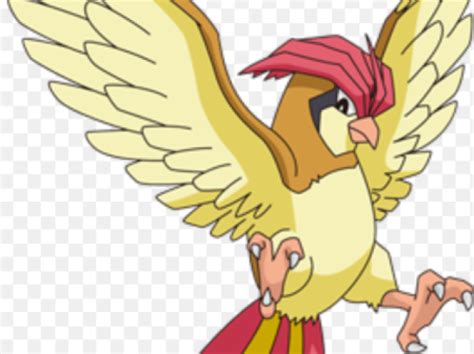 Você Realmente Conhece Pokemon Rayan Lacerda Quizur