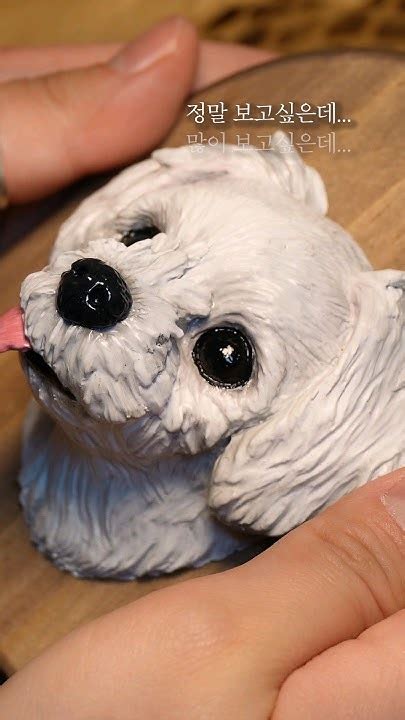 떠난 강아지를 클레이로 만들어 선물한다면 Shorts 클레이 폴리머클레이 Youtube