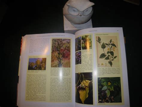 Medicinal Plants In Australia Vol 4 An Antipodean Apothecary 1st