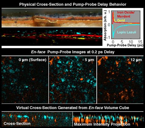 Femtosecond Pump Probe Microscopy Generates Virtual Cross Sections In