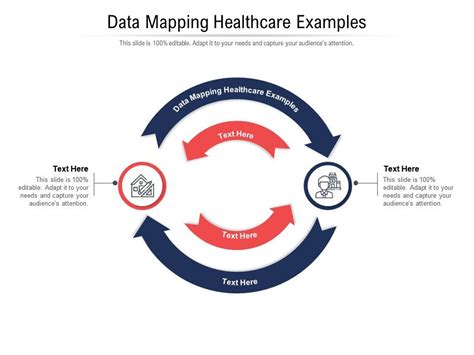 Data Mapping Healthcare Examples Ppt Powerpoint Presentation