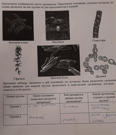 Впр по биологии 7 образец с ответами