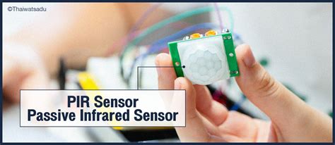What Is Pir Motion Sensor And How Do They Work Thai Watsadu