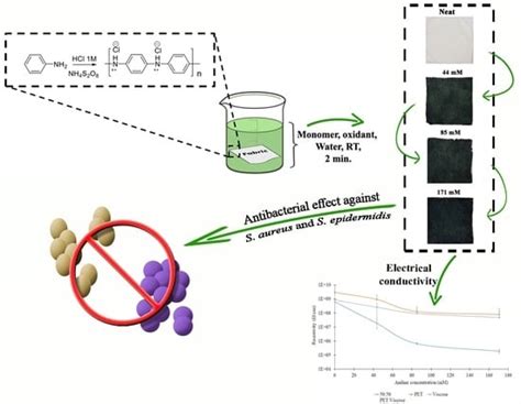 Polymers Free Full Text Hybrid Antibacterial And Electro Conductive