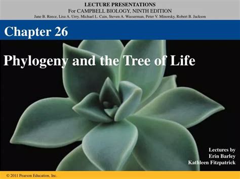 PPT Phylogeny And The Tree Of Life PowerPoint Presentation Free Download ID